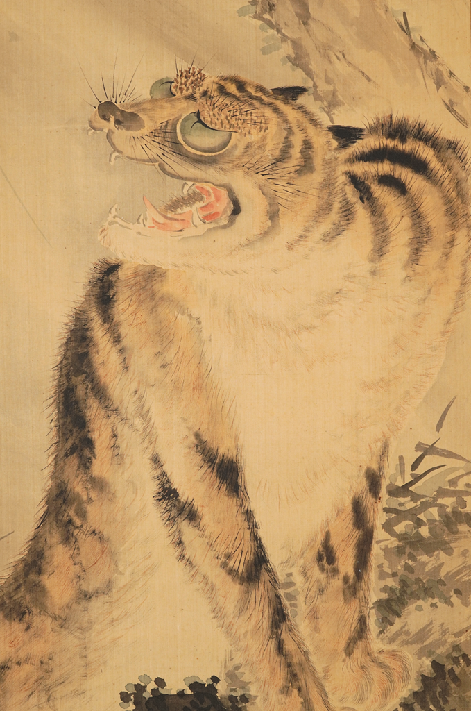 Asai Ryuto / Tiger howling under a pine tree - 日本の動物画‐いきもののかたち‐ 江戸期の花鳥画 ...